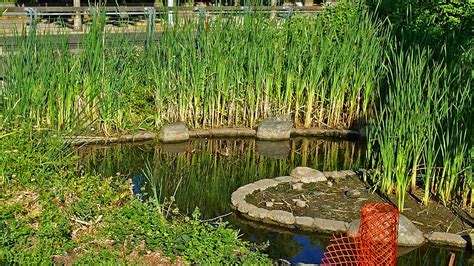 23 OLYMPUS DIGITAL CAMERA Karen Carthy Flickr
