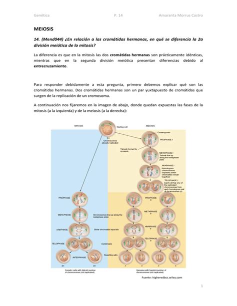 MEIOSIS
