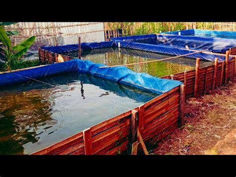 Kolam Lele Terpal Newstempo