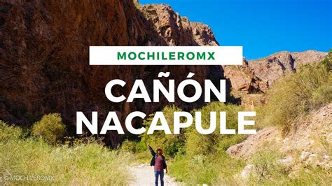 Ca On Nacapule En San Carlos Sonora C Mo Es Qu Hay