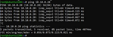 Real Time Packet Capture Of Linux Bridge Ping Namespaces And Display