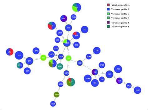 minimum spanning tree based on multilocus sequence typing data for download scientific