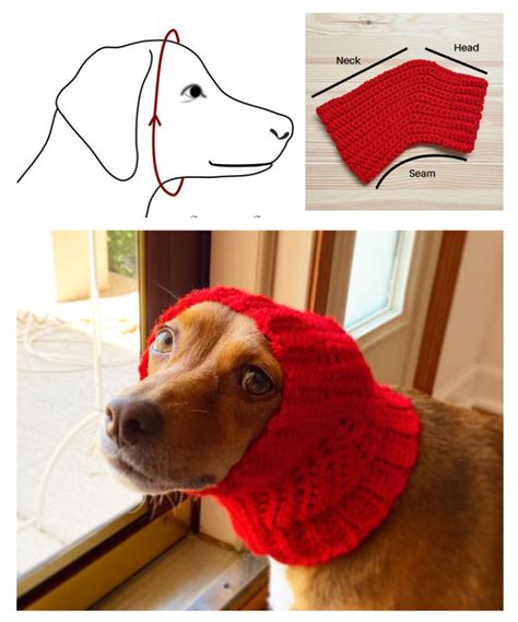 Guide De Crochet Tape Par Tape Pour Le Petit Snood Pour Chien Rouge