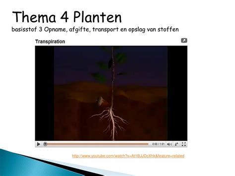 PPT Thema 4 Planten Basisstof 1 Geslachtelijke Voortplanting
