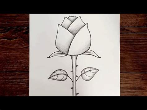 كيفية رسم وردة سهلة رسم وردة خطوة بخطوة رسم قلم رصاص للمدرسة رسم