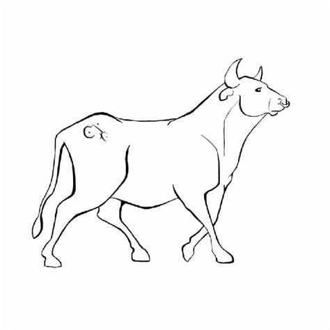 57 Desenhos De Touros Para Imprimir E Colorir Pintar