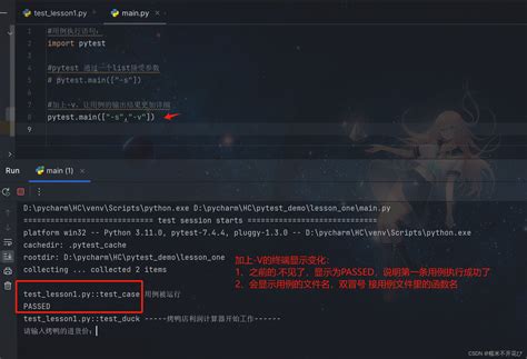 pytest测试框架 基本功能使用详解 csdn博客