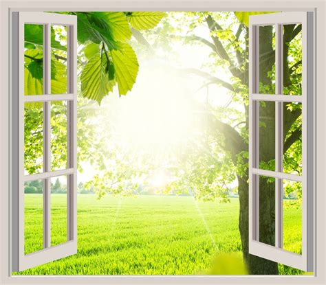 FOTOTAPETA 3D OKNO widok łąka polana las słońce agmart001 Cena