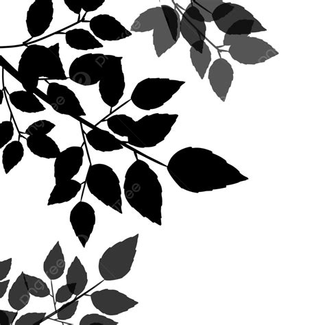 Sombra De Hojas De Arbol Png Dibujos Sombra De Arbol Deja Sombra