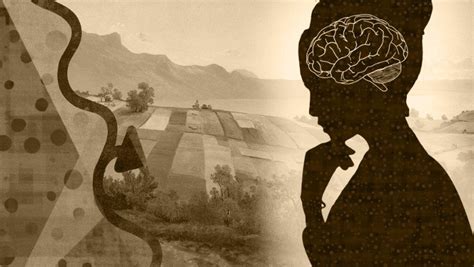 Le Regioni Del DNA Nel Nostro Cervello Che Contribuiscono A Renderci