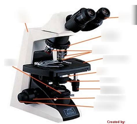 A P 1 Lab 1 Microscope Diagram Quizlet