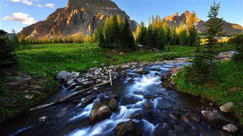 4K River Wallpapers Top Free 4K River Backgrounds WallpaperAccess