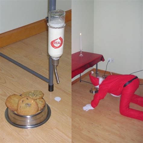 Cursed Images Filled With Wtf Wtf Gallery Cursed Images Stupid