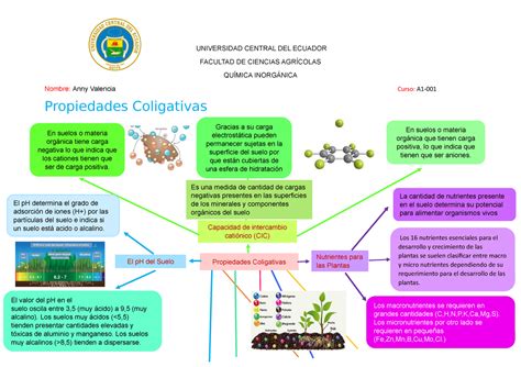 Mapa Mental De Quimica Inorganica Braincp Nbkomputer