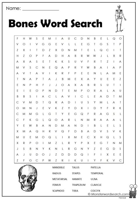 Nice Bones Word Search Human Skeletal System Free Printable Word