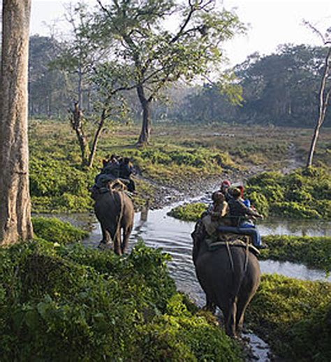 Shillong Tour 6353 Holiday Packages To Kaziranga Shillong Guwahati
