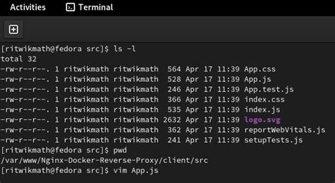 nginx reverse proxy in localhost and docker a comprehensive setup guide dev community