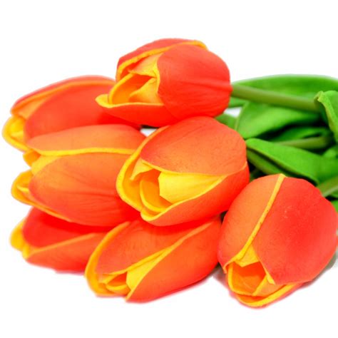 Tulipany Bukiet Tulipan W Gumowane Gumowe Jak Ywe Tulipan Gumowy
