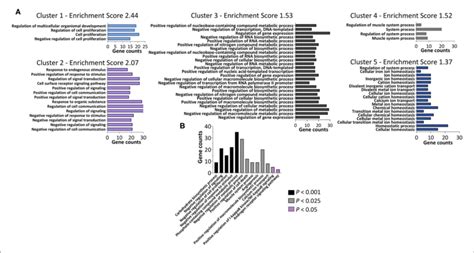 functional annotation clustering determined using david download scientific diagram