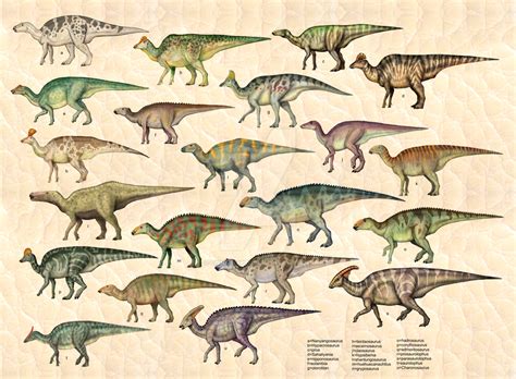 253348 Safe Artistcisiopurple Corythosaurus Dinosaur Duck Billed Dinosaur