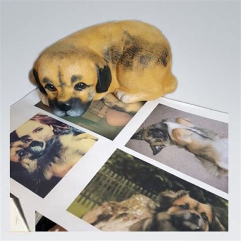 Hundeurne S1163 Mit Bemalung Nach Fotovorlage URNITAS