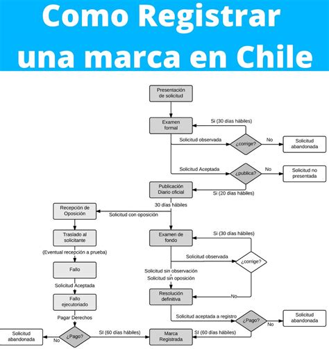 Cómo Registrar una marca en Chile 2024 PasosINAPI