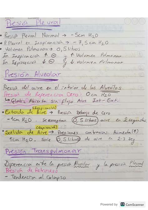 SOLUTION Ventilacion Pulmonar Mecanica De La Ventilacion Pulmonar