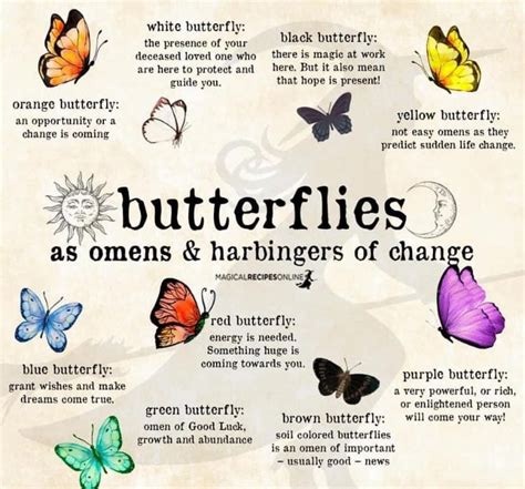 Butterflies And Their Meanings Butterfly Meaning Blue Butterfly