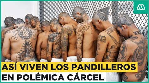 La polémica cárcel de El Salvador Así viven los pandilleros de Las