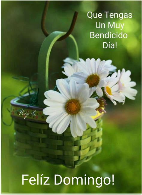 Frases Y Mensajes De Feliz Domingo En Lindas Im Genes