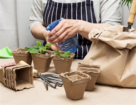Indoor Vegetable Garden System For Heirloom Flavors The News God