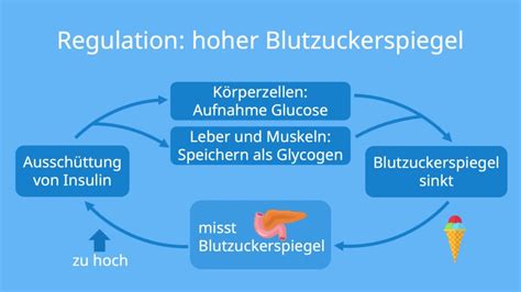 Stand Untergetaucht Erfahrene Person Insulin Blutzucker Verbinden