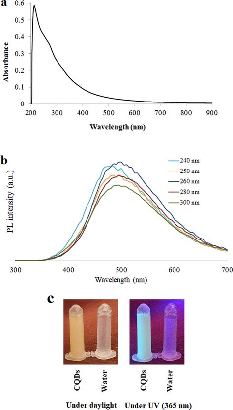 A The UVVis Absorption Spectrum Of The CQDs Solution With A