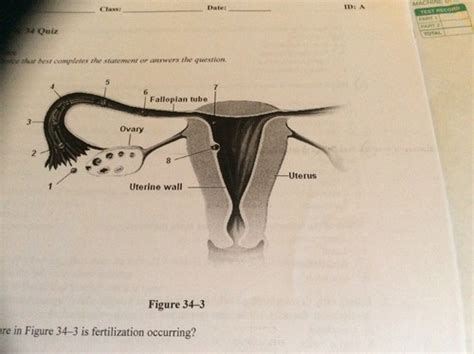 Biology Final Exam Chapters Flashcards Quizlet