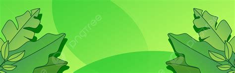 Green Leaves Nature Background 02 Nature Leaves Green Background