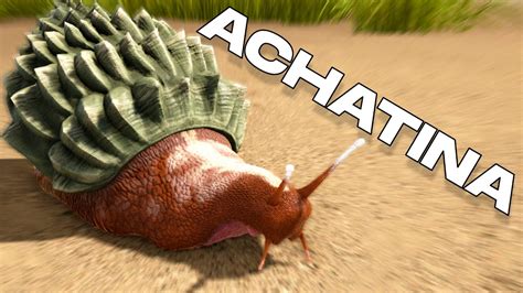 COMO TAMEAR ACHATINA Y TODAS SUS HABILIDADES PC PS Y XBOX ARK