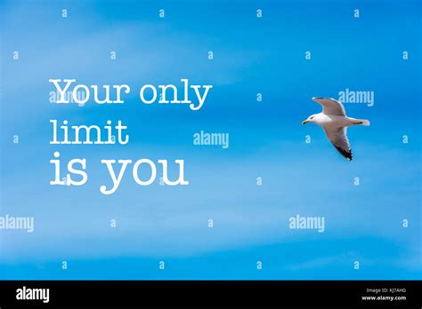 Inspirational Motivation Quote With Phrase Your Only Limit Is You