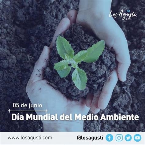 Día Mundial del Medio Ambiente 2023 En busca de eliminar la huella