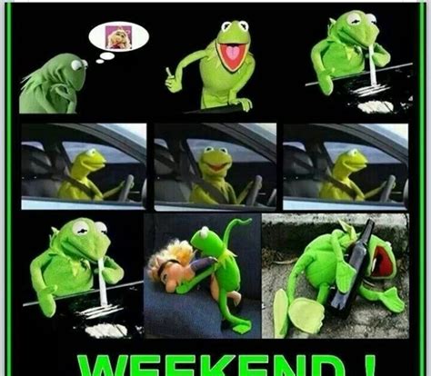 Lustige Spr Che Kermit Der Frosch Bilder Pin Von Ruth Fortune Auf