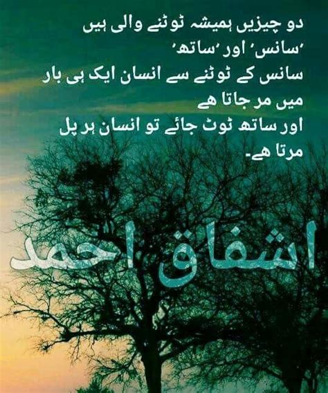 37 Best Anwar Masood Funny Poetry Images On Pinterest Poem Poetry