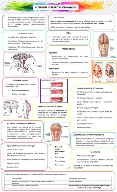 Accidente Cerebrovascular Acv Taniia Fernandaa Udocz