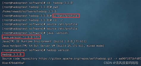 部署hadoop伪分布式集群 hadoop伪分布部署 csdn博客