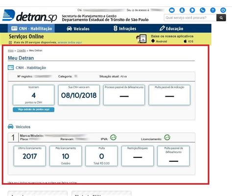 Detran SP simplifica consulta online para usuários