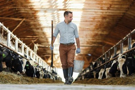 Dairy Revenue Protection Crop Insurance