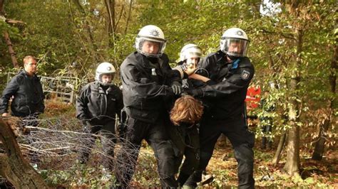Räumung im Hambacher Forst geht weiter