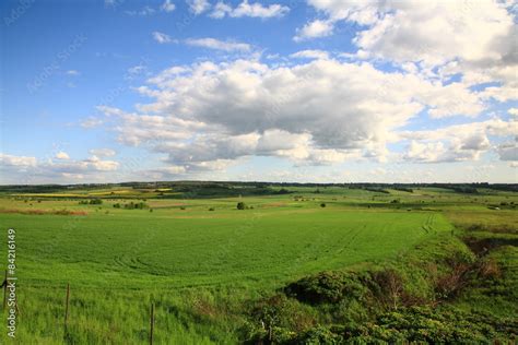 Fototapeta litwa pejzaż łąka pole las Dekowizja pl