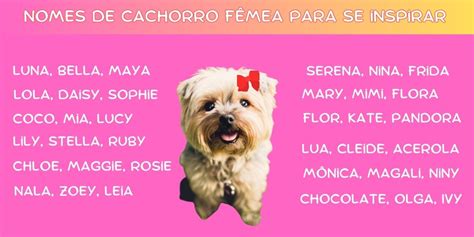 Op Es Criativas De Nomes De Cachorro F Mea Para Se Inspirar