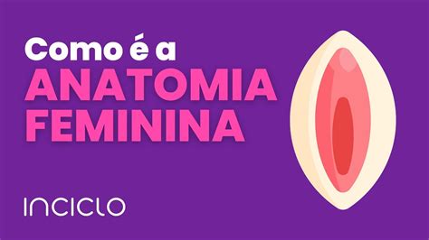 Anatomia Feminina Aprenda mais sobre sua região íntima YouTube