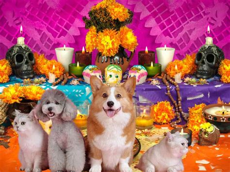Día de Muertos 2023 Cuándo y qué cosas se ponen en la ofrenda para