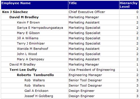 sql server reporting service ssrs by subbareddy microsoft certified recursive hierarchy group